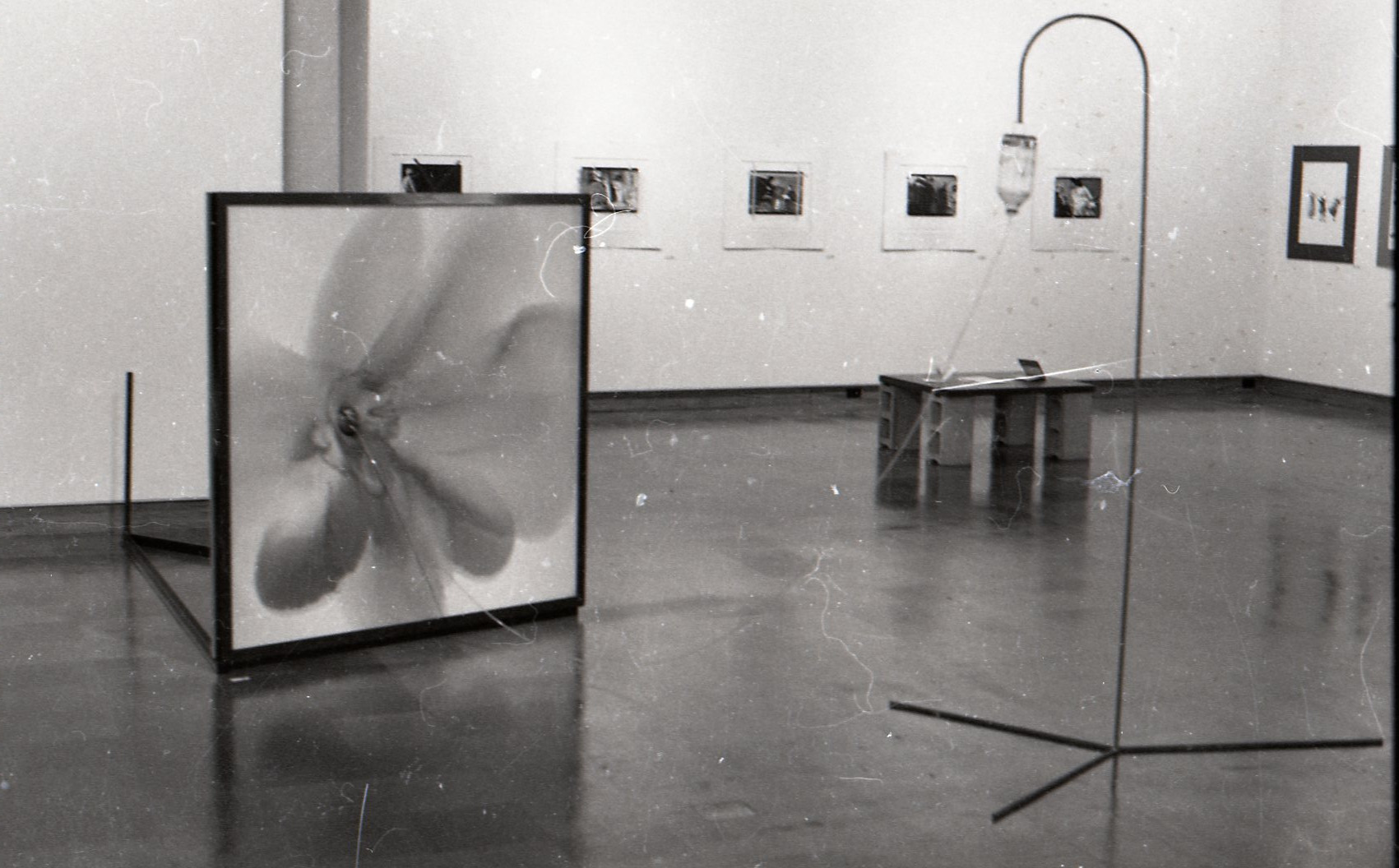 Paul Dibble and Jeff Thomson | Paul Dibble