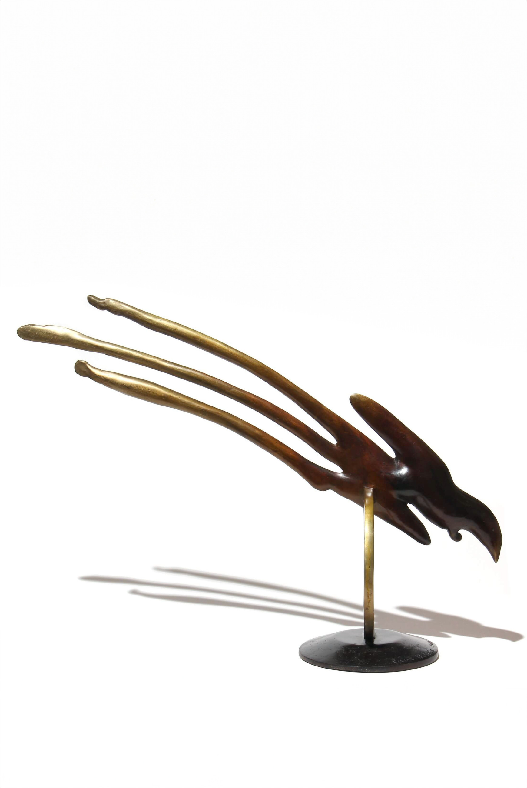 Hawk study 1 | Paul Dibble