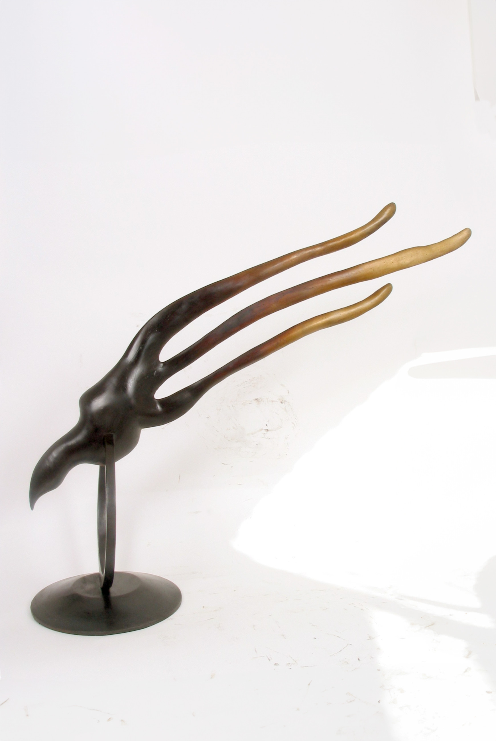 Hawk study 1 | Paul Dibble