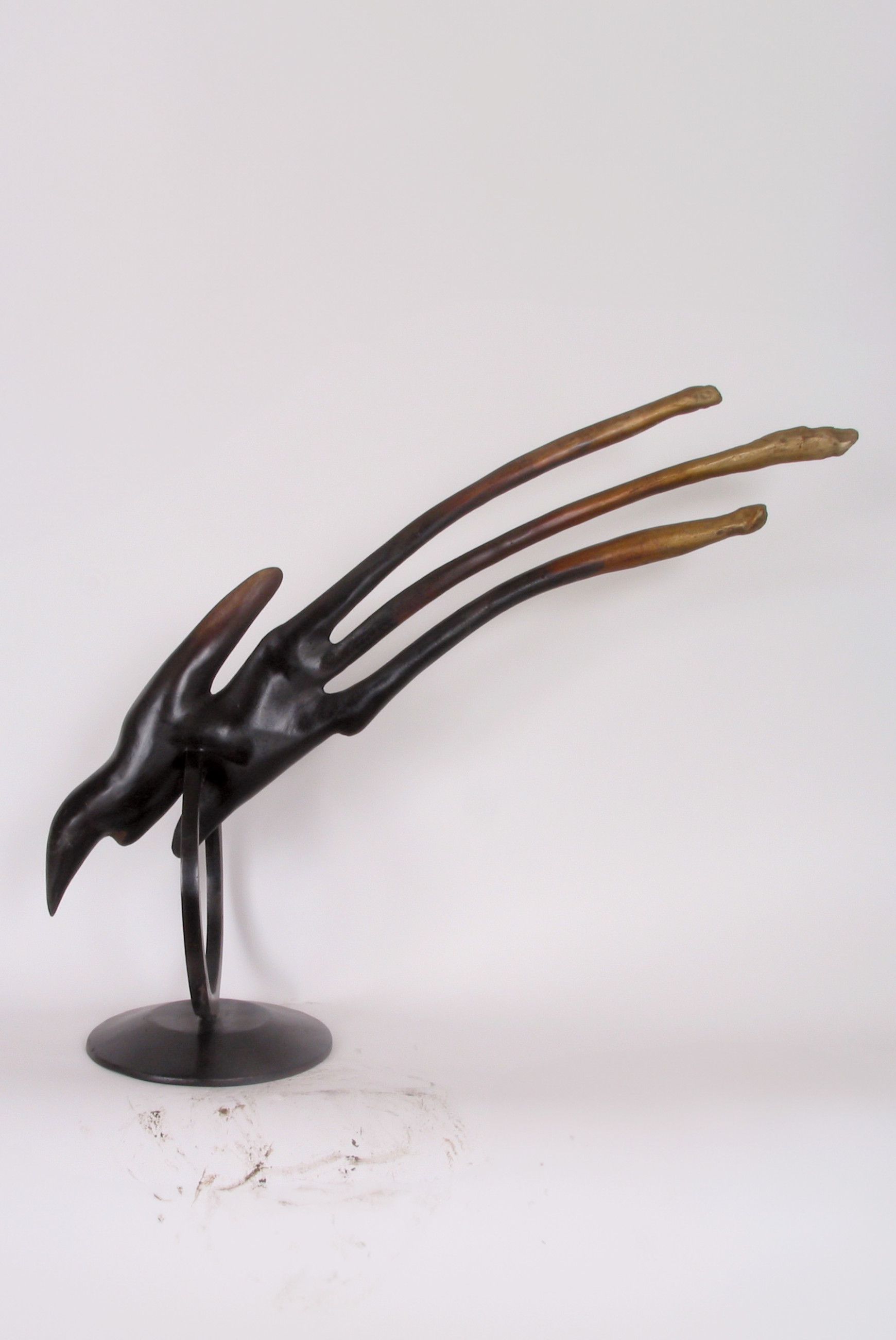 Hawk study 2 | Paul Dibble