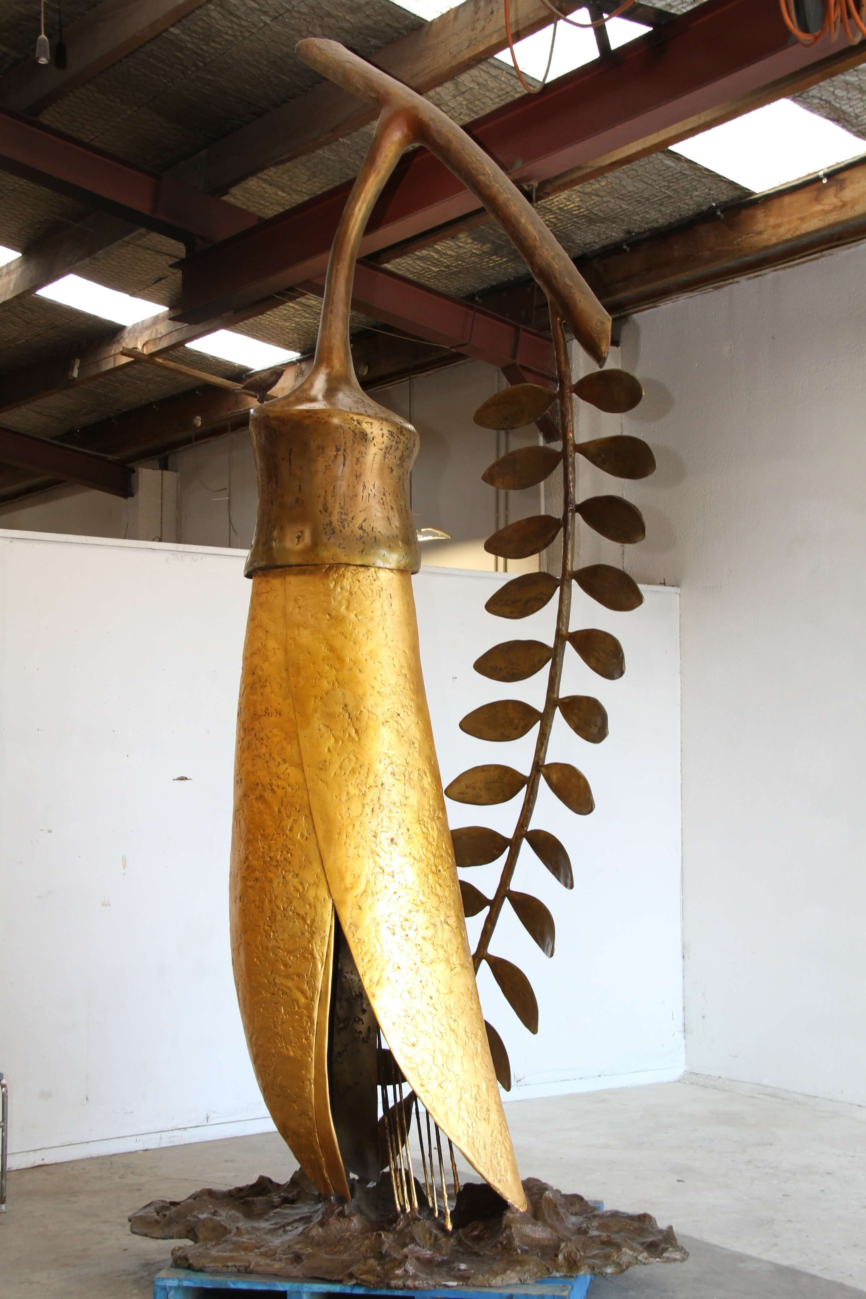 The Gold of the Kōwhai | Paul Dibble